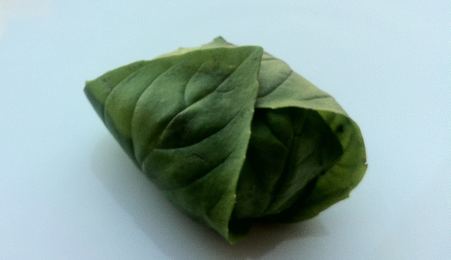 the hunger games, prim: goat cheese | City Chick Cooks